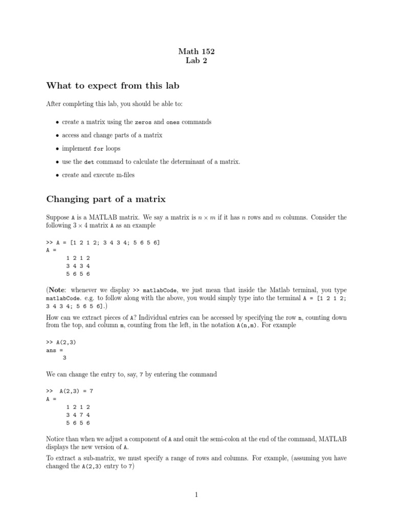 Matlab | PDF | Determinant | Matrix (Mathematics)