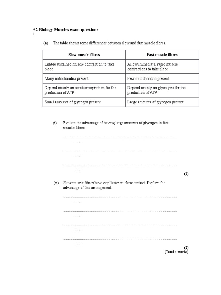 A2 Biology: Muscle Fibres Exam Questions | PDF | Skeletal Muscle | Soft ...