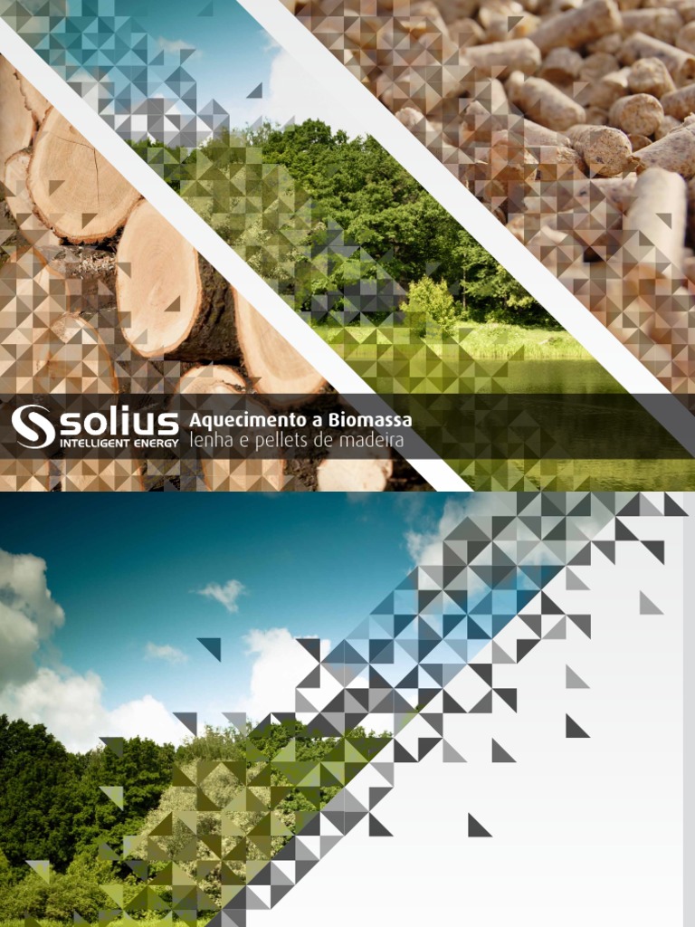 Catalogo Biomassa | PDF | Tecnologia e Engenharia