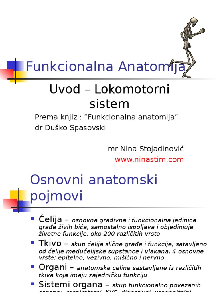 Anatomija-Uvod Prezentacije | PDF