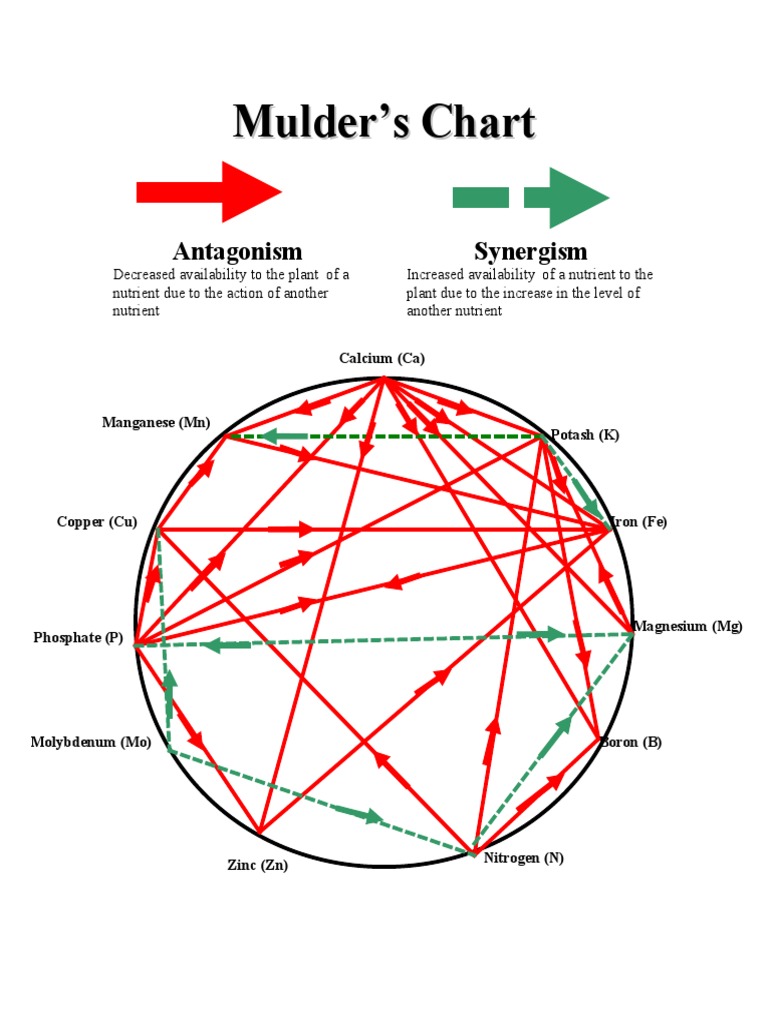 Mulder's Chart: Understanding Nutrient Interactions in Plants Through ...