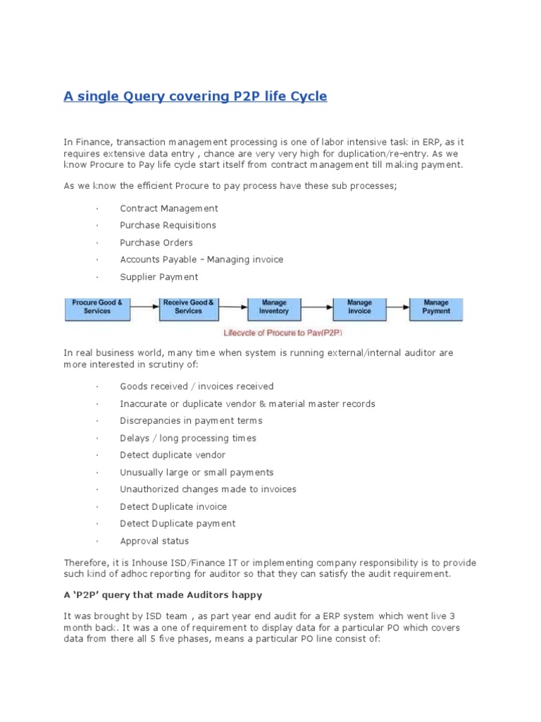 A Comprehensive Procure-to-Pay Query to Satisfy Auditors | PDF ...