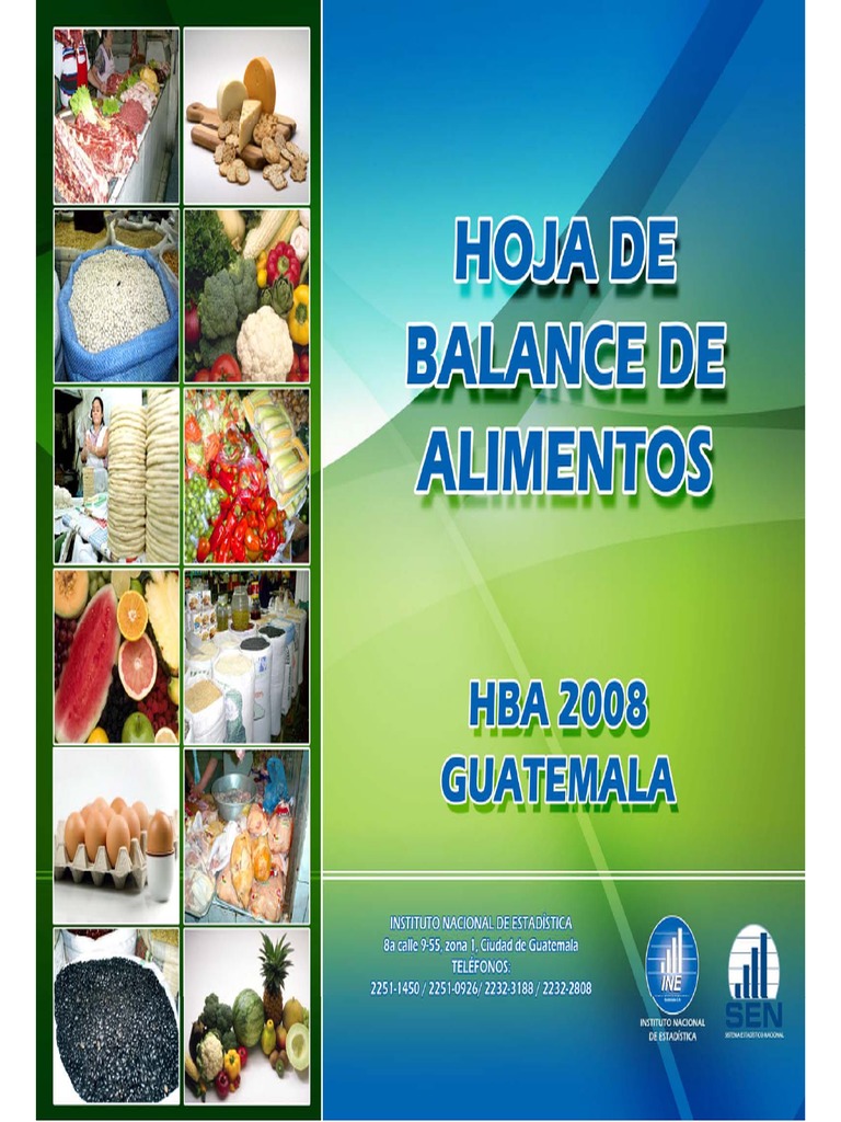 Hoja Balance de Alimentos 2008 | PDF | Trigo | Alimentos