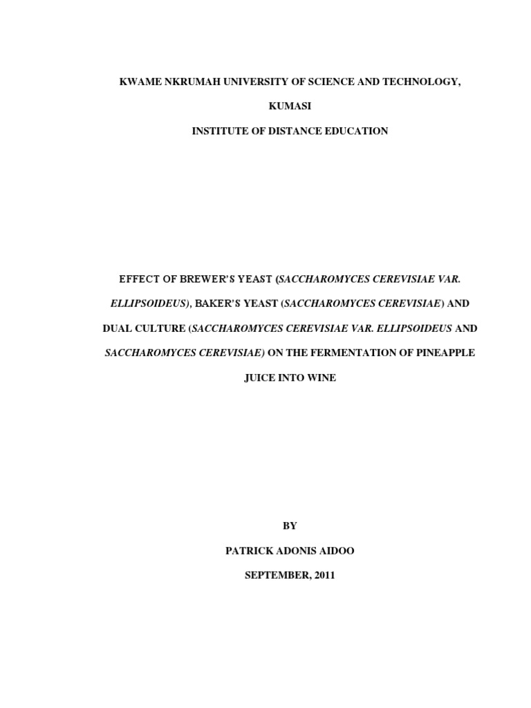 Patrick Adonis Aidoo Thesis 2011 | PDF | Fermentation | Winemaking