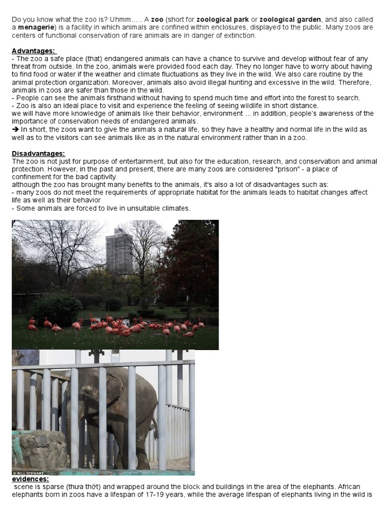 The Zoo Presentation | PDF | Zoo | Conservation
