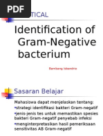 Gram Negative Rods: Oxidase Test | PDF | Gram Negative Bacteria ...