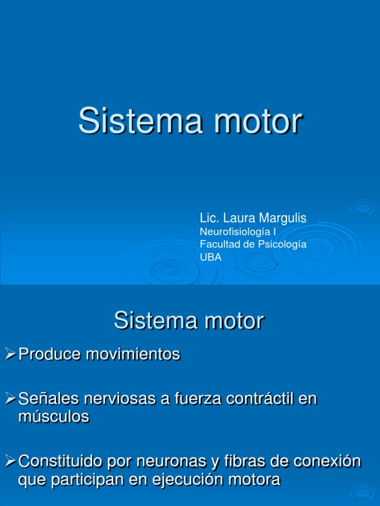 La organización jerárquica del sistema motor y sus principales ...