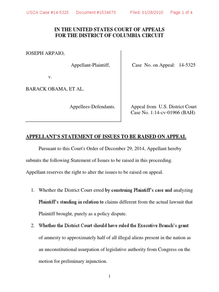 USCA DCC 14-5325 Statement of Issues | PDF | Standing (Law) | United ...