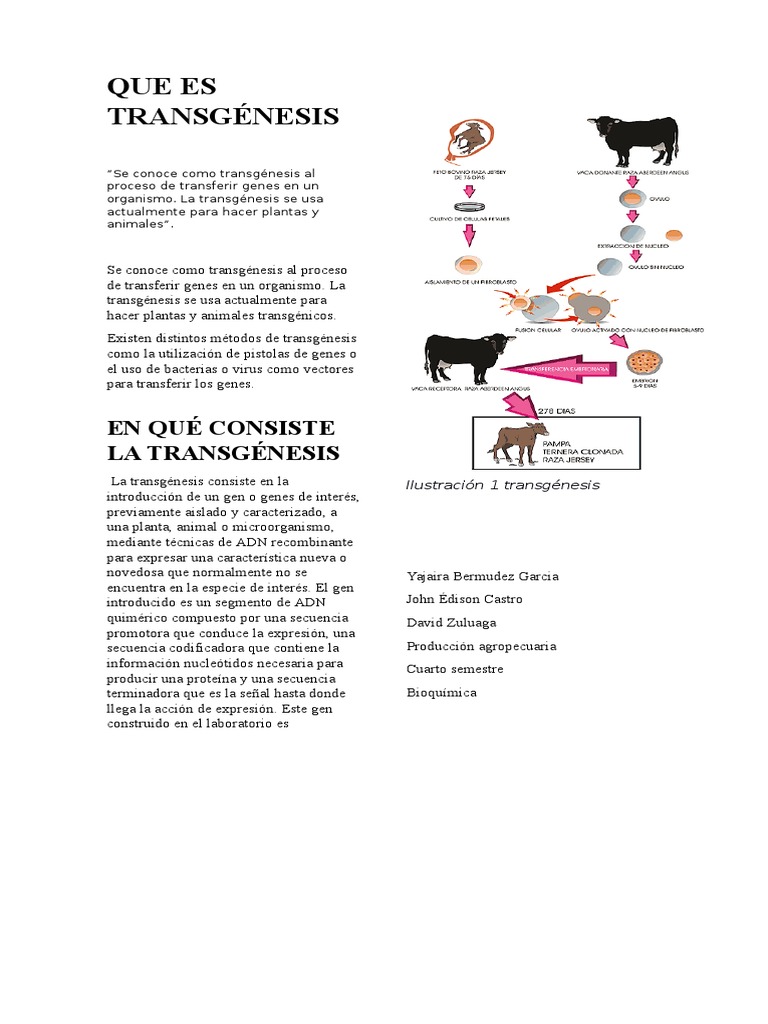 Que Es Transgénesis | PDF | Ciencia y matemáticas | Tecnología