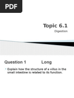 IB Biology IA Score Sheet 2025 | PDF | Methodology | Statistics