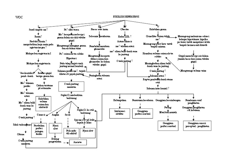 WOC Hipertensi | PDF