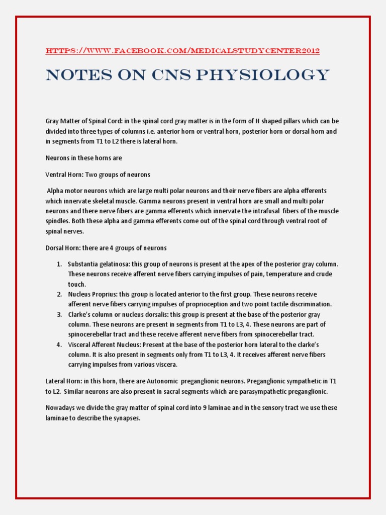 Notes on CNS Physiology by Medical Study Center(2) | Spinal Cord ...