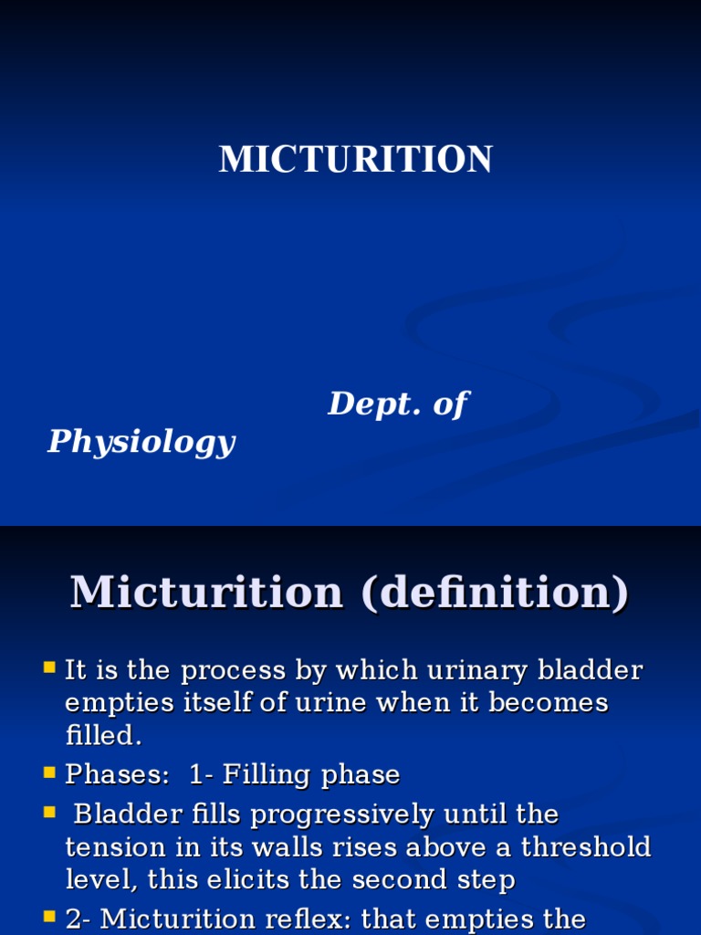 Understanding the Micturition Process | PDF | Urination | Urinary Bladder