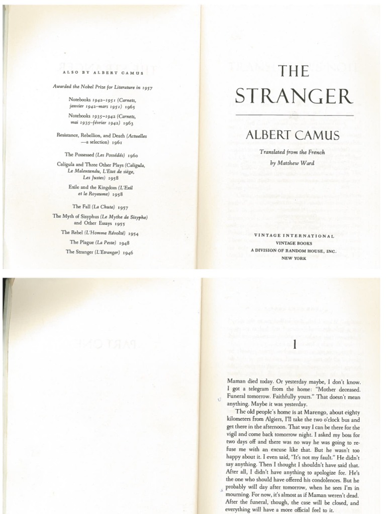 The Stranger PDF | PDF