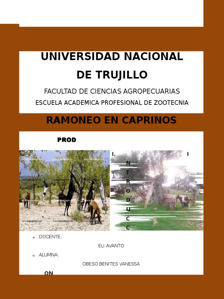 Ramoneo en Cabras: Definición y Hábitos | PDF | Rumiante | Oveja