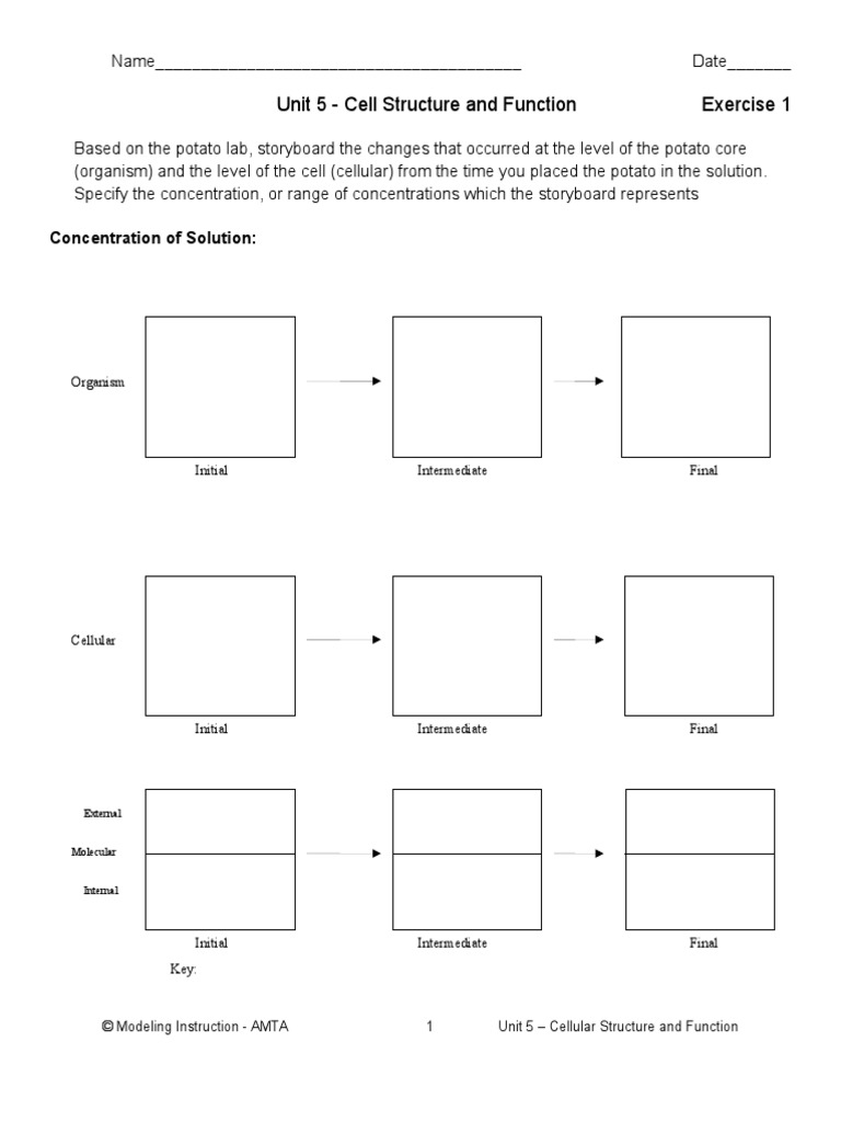 04 Cell Structure and Function Exercise 1 | PDF | Computers ...