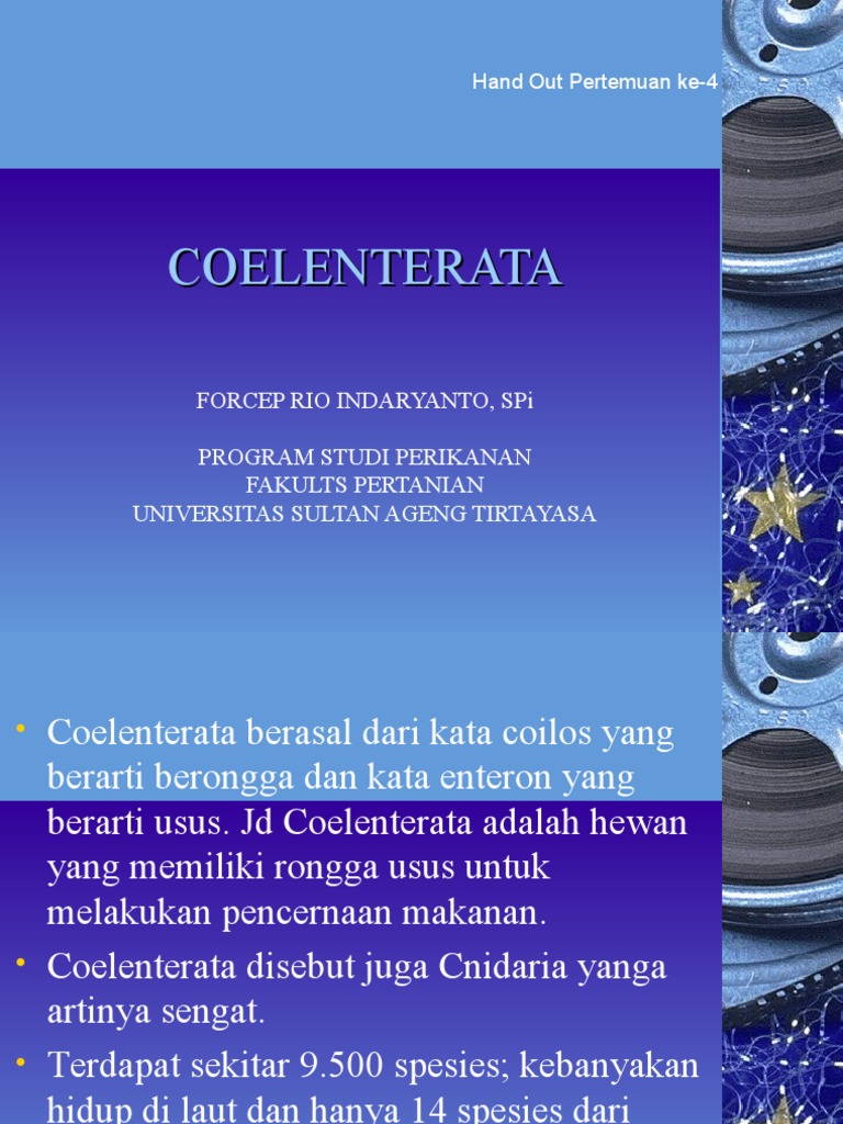 Contoh Gambar Hewan Coelenterata - Gambar Hewan