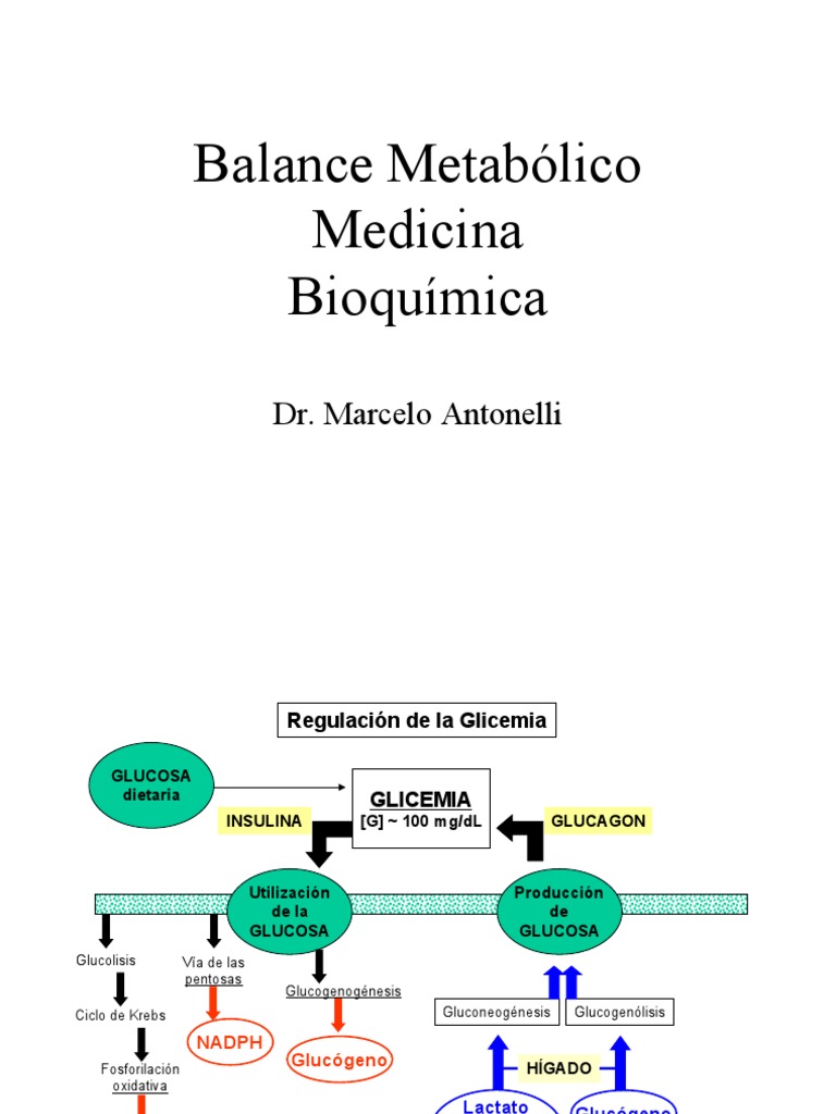 Balance Metabolico y Otros | PDF | Ciclo del ácido cítrico | Dieta y ...