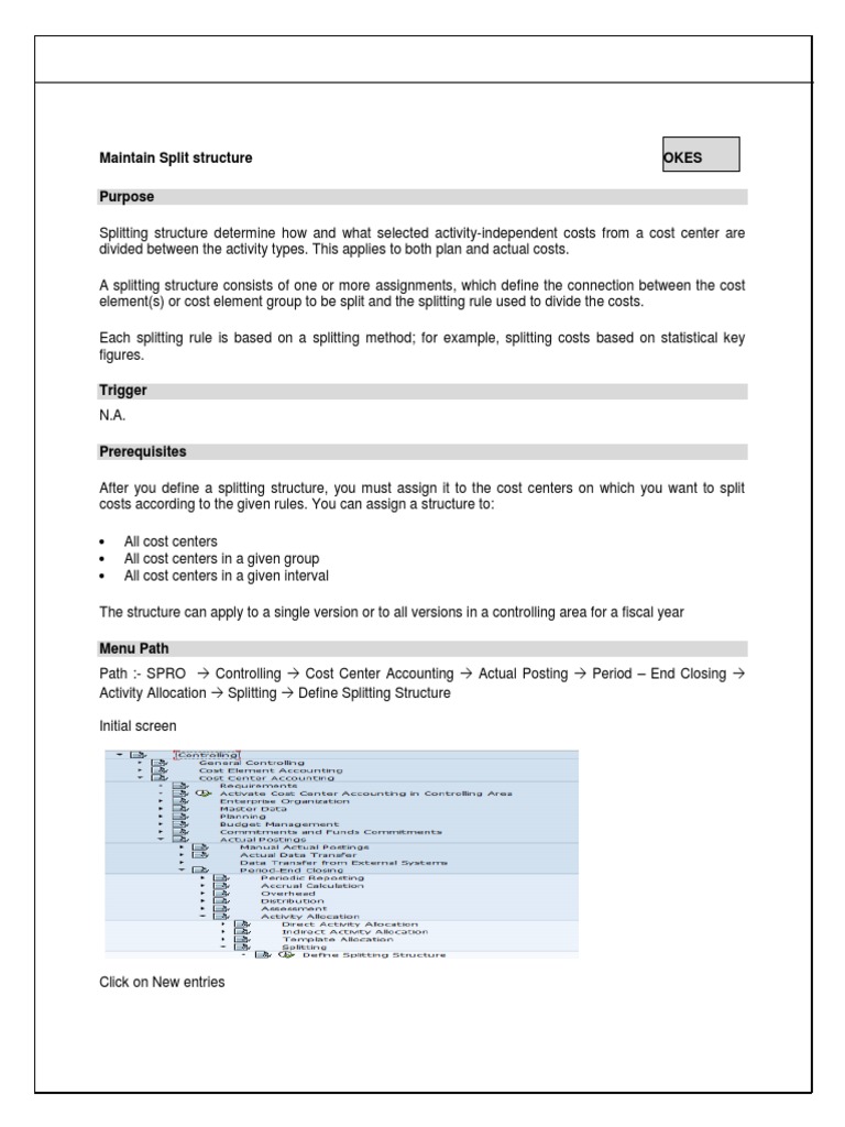 SAP OKES - Splitting Structure | PDF | Valuation (Finance) | Option ...