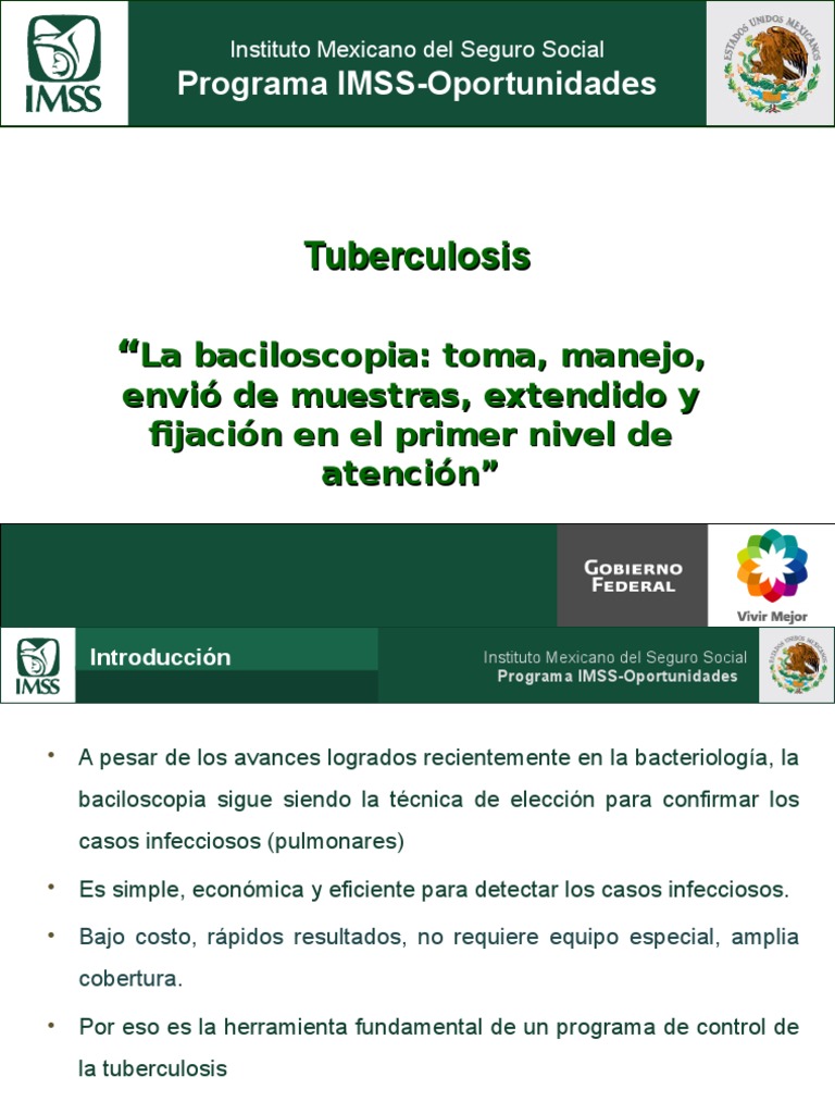 Baciloscopia Extendido y Fijacion | Tuberculosis | Diagnóstico médico
