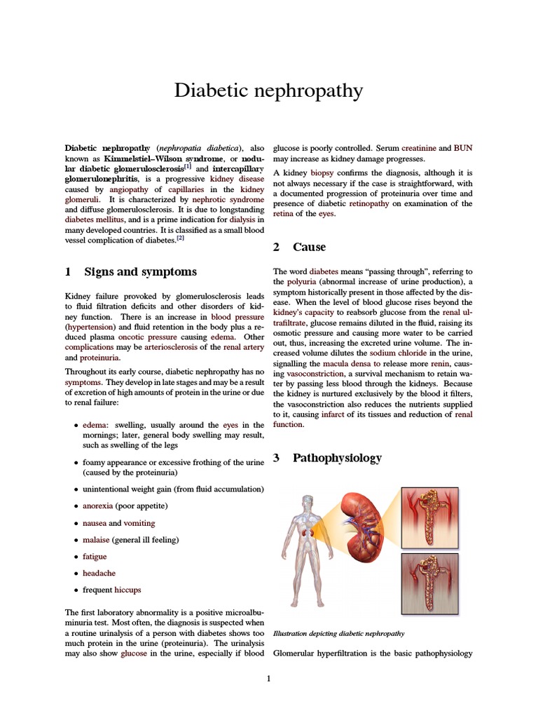 Diabetic Nephropathy | Kidney | Renal Function