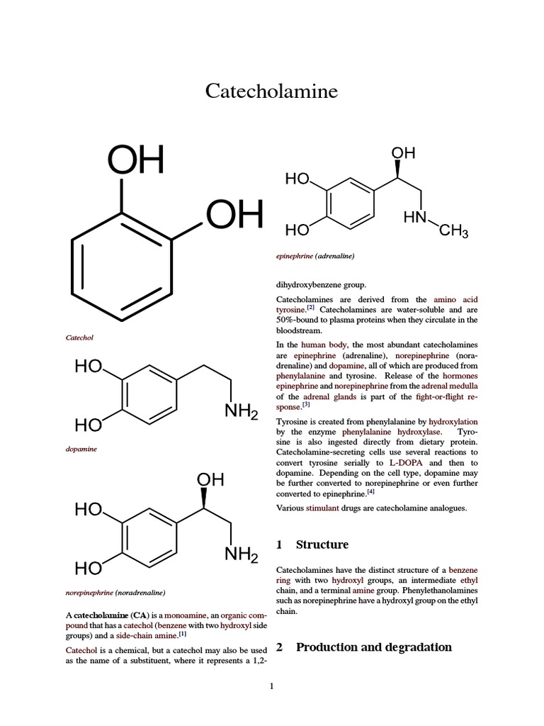 14 Catecholamine | PDF | Norepinephrine | Organic Compounds