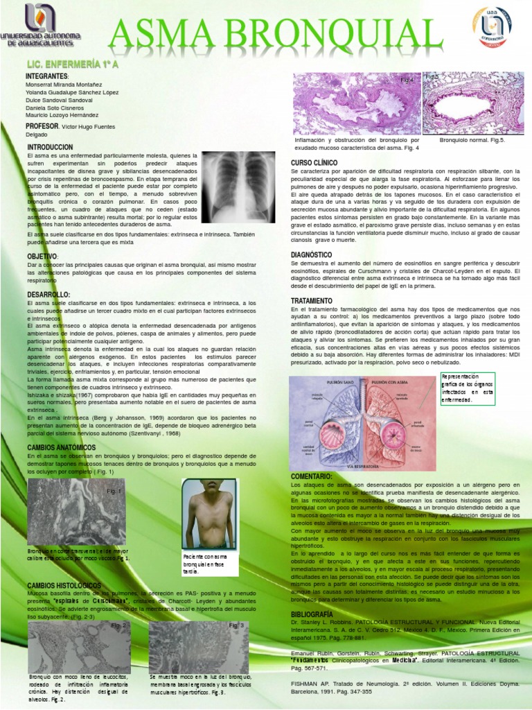 Causas y Patología del Asma | PDF | Asma | Inmunología