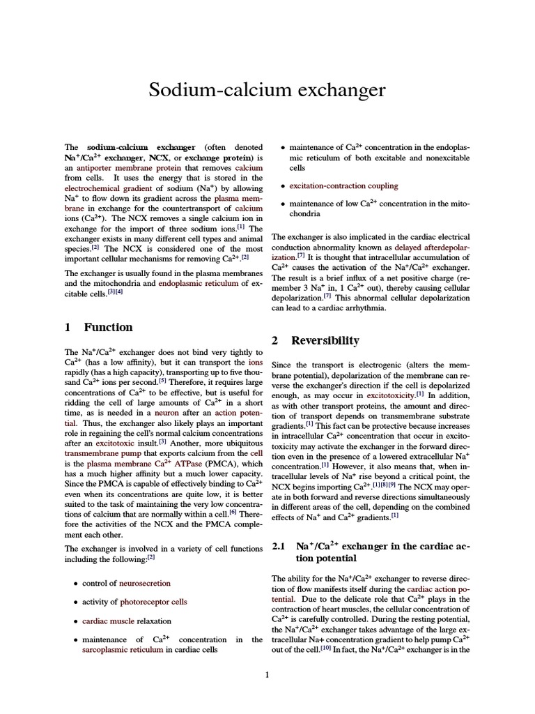 Sodium-Calcium Exchanger Overview | PDF | Calcium In Biology | Biochemistry