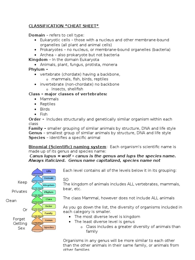 Classification Cheat Sheet | PDF | Eukaryotes | Organisms