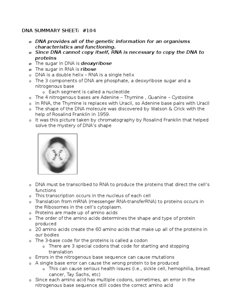 Dna Summary Sheet | PDF | Nucleic Acid Sequence | Dna