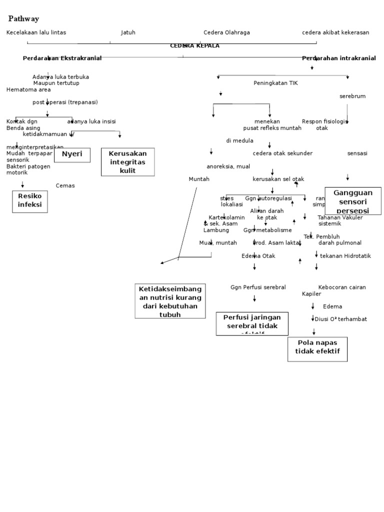 Pathway Trepanasi | PDF
