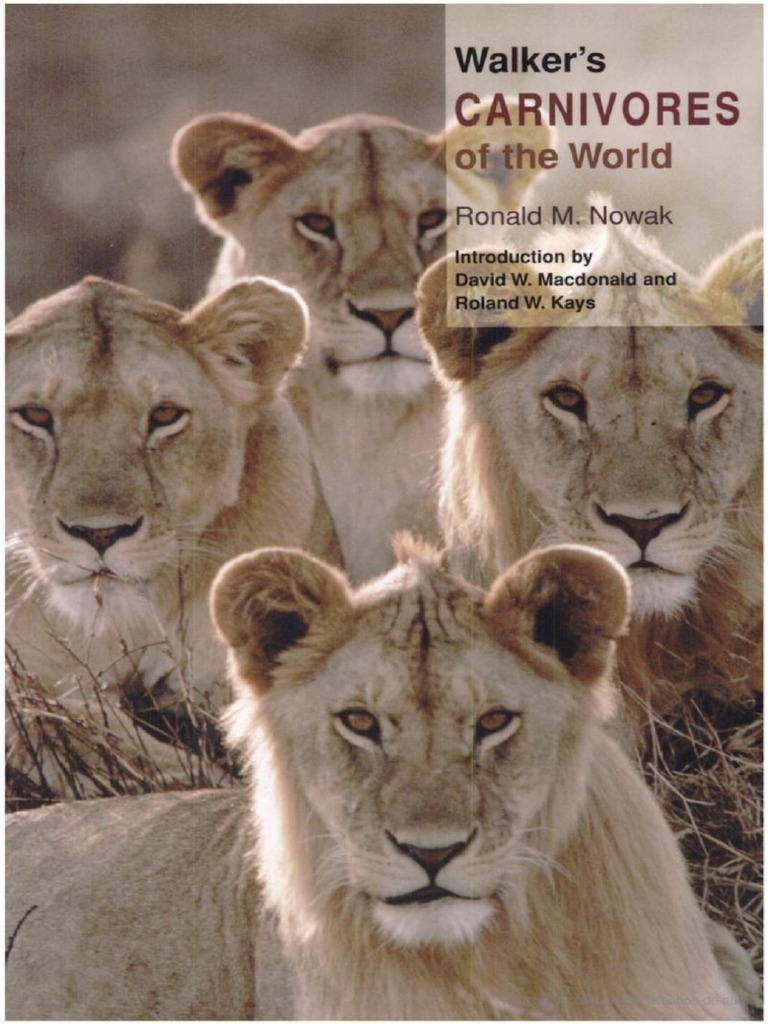Carnivores of the World