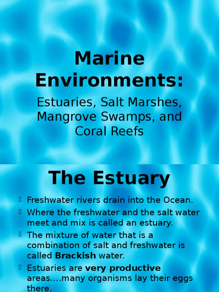 Marine Environments:: Estuaries, Salt Marshes, Mangrove Swamps, and ...