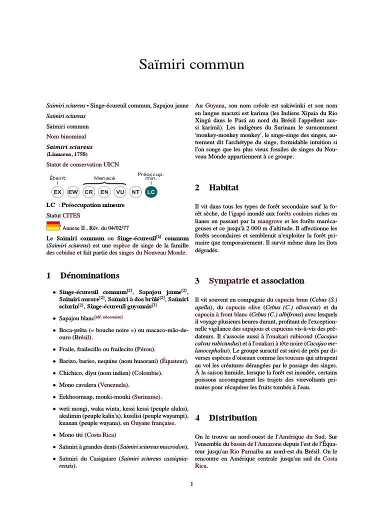 Saïmiri commun.pdf | Singe | La nature