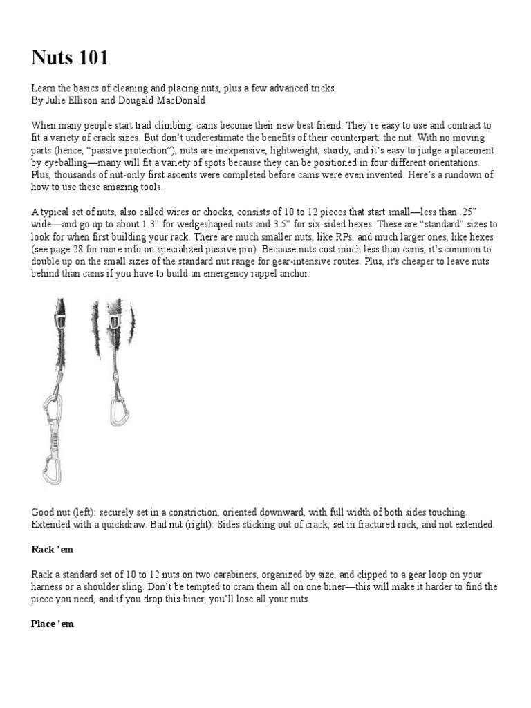 Nuts 101 | PDF | Manufactured Goods | Nature