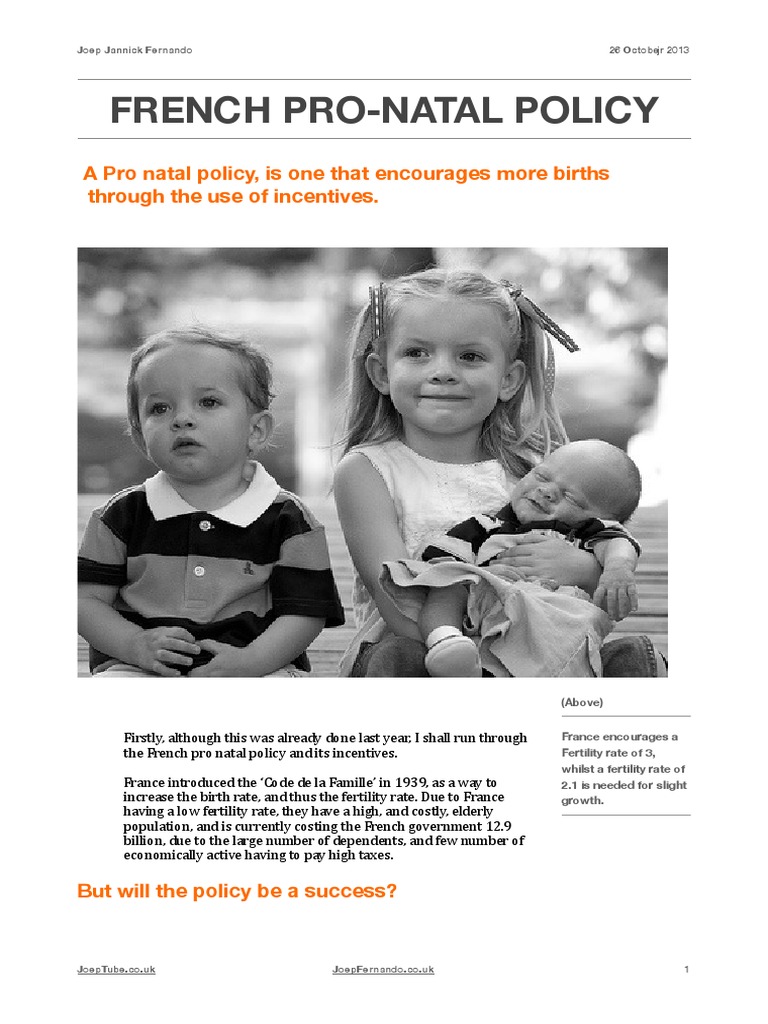 French Pro Natal Policies | PDF | Day Care | Social Institutions
