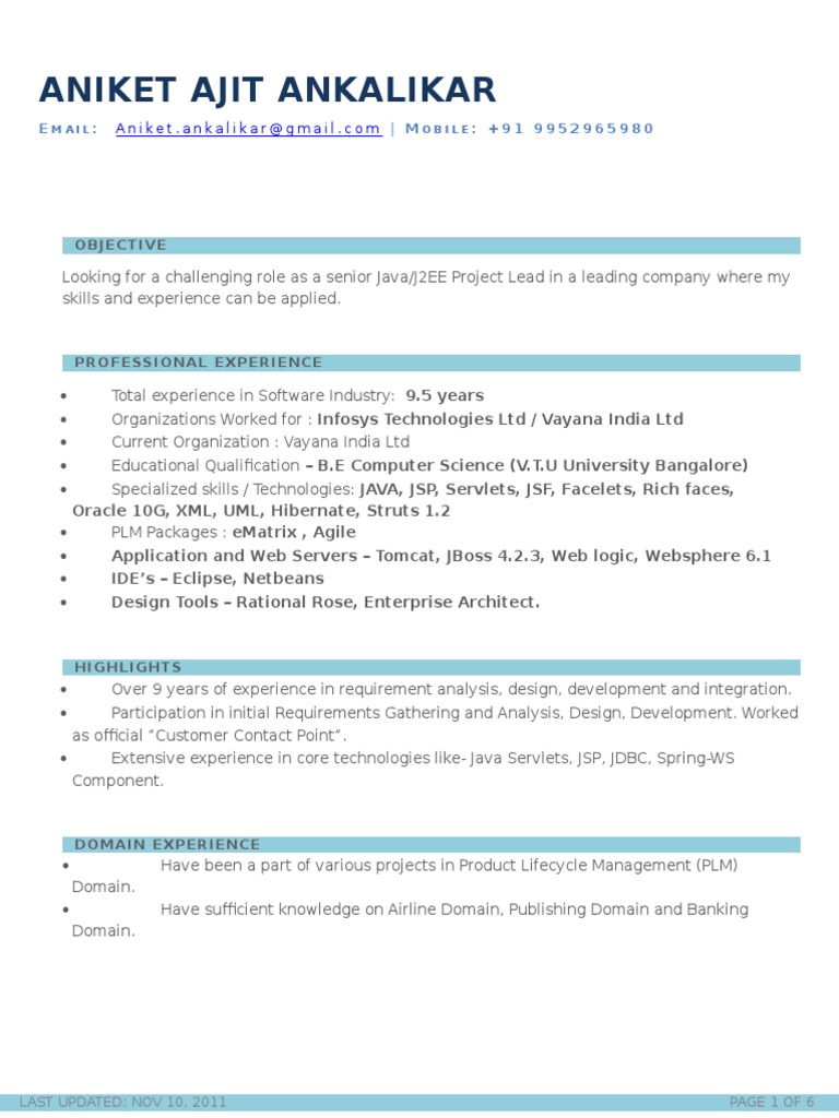 Aniket Resume Download Free Pdf Eclipse Software Net Beans