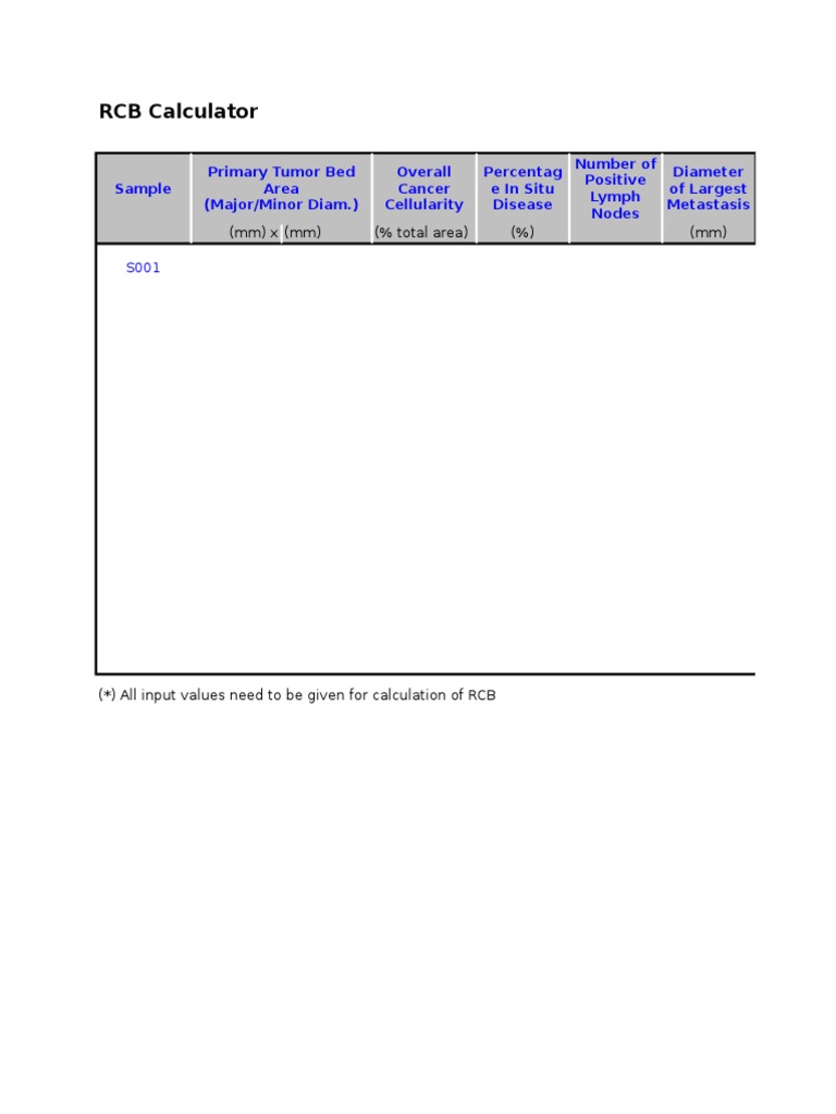 RCB Calculation Tool Overview | PDF