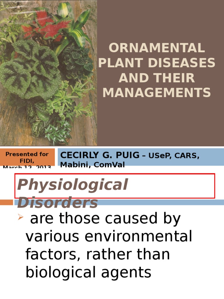 Ornamental Plant Diseases and Their Managements | PDF | Root | Microbiology