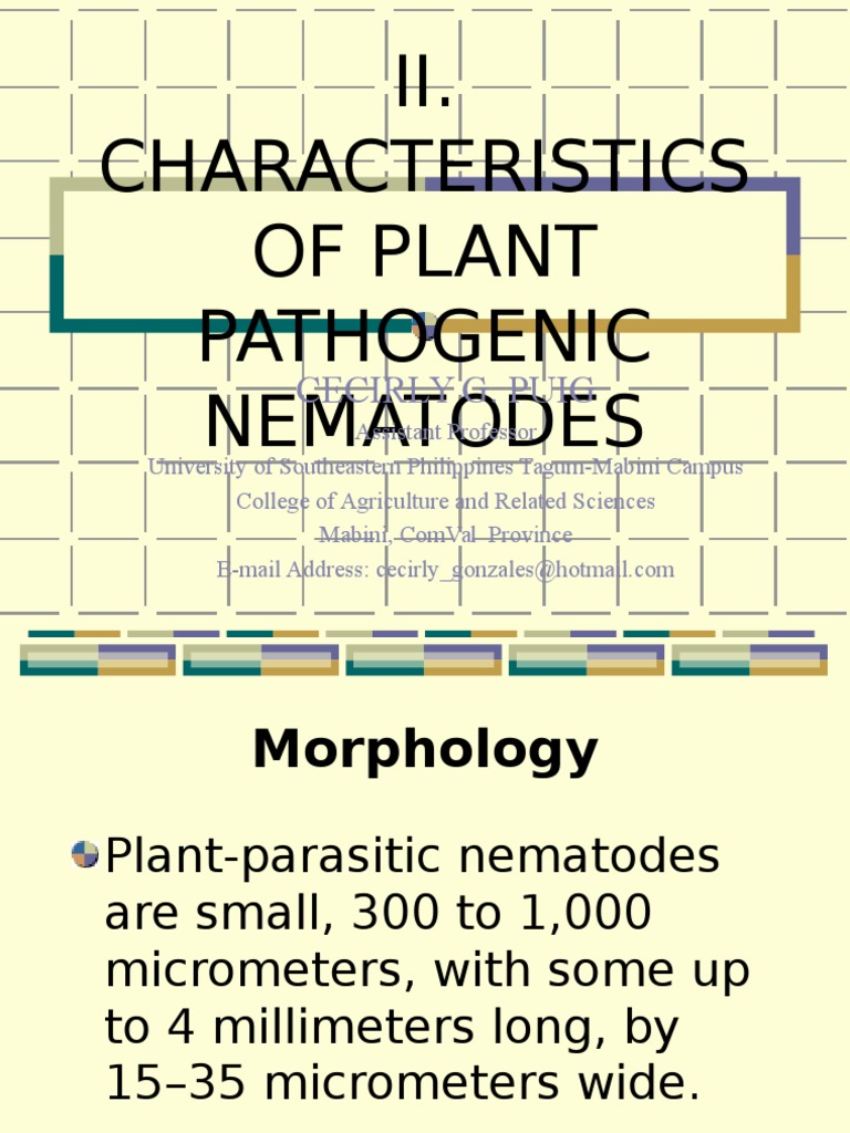 Characteristics of Plant Pathogenic Nematodes | Nematode | Root