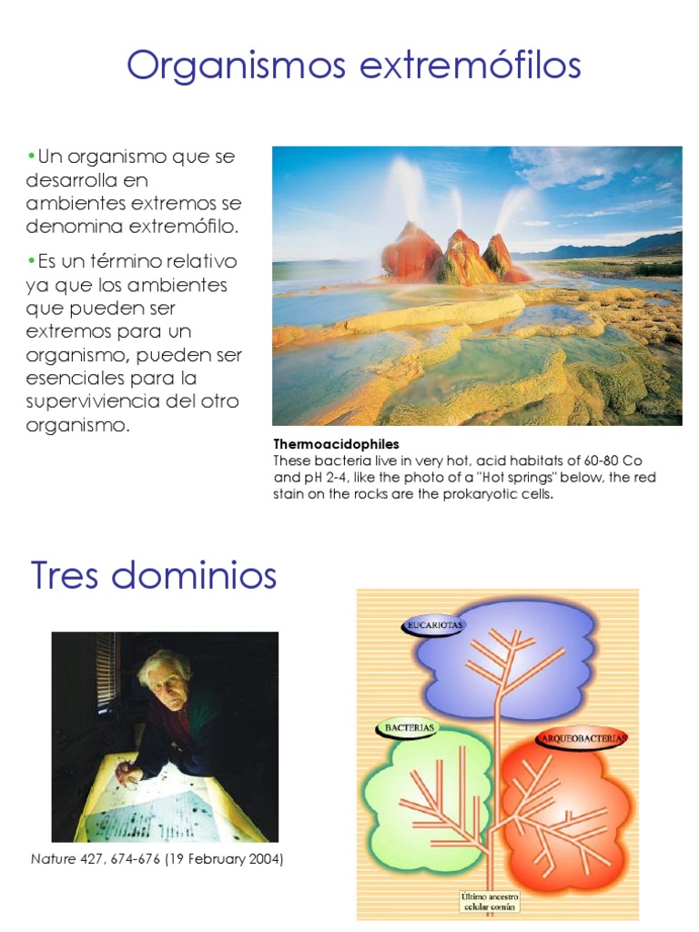 Organismos Extremófilos y sus Adaptaciones | PDF | Archaea | Las bacterias