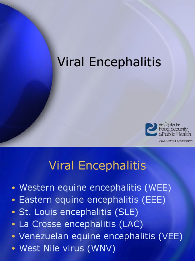 Viral Encephalitis | PDF | Diseases And Disorders | Medical Specialties
