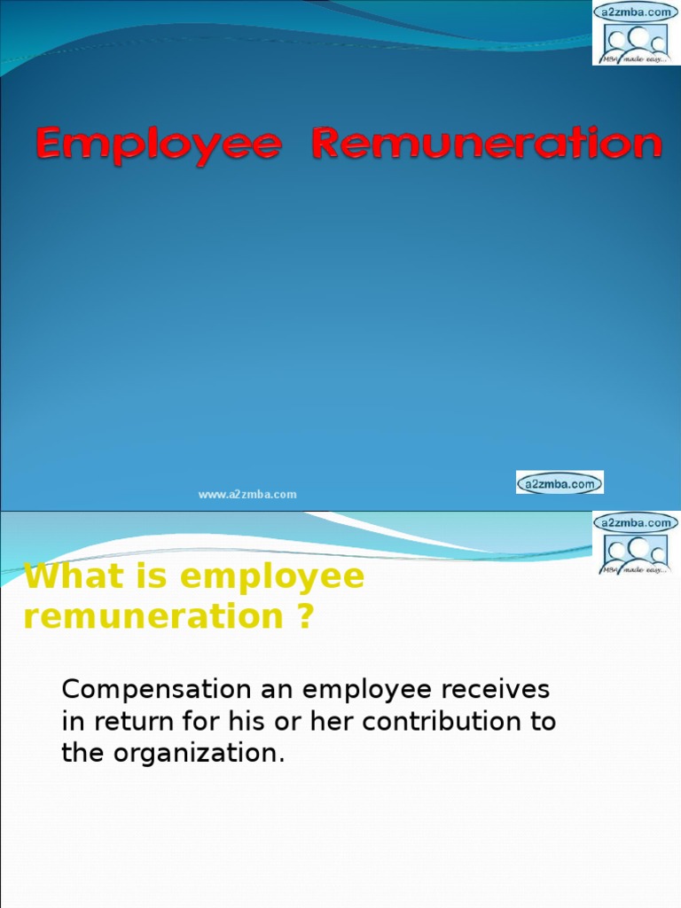 Employee Remuneration | PDF | Employee Benefits | Employment