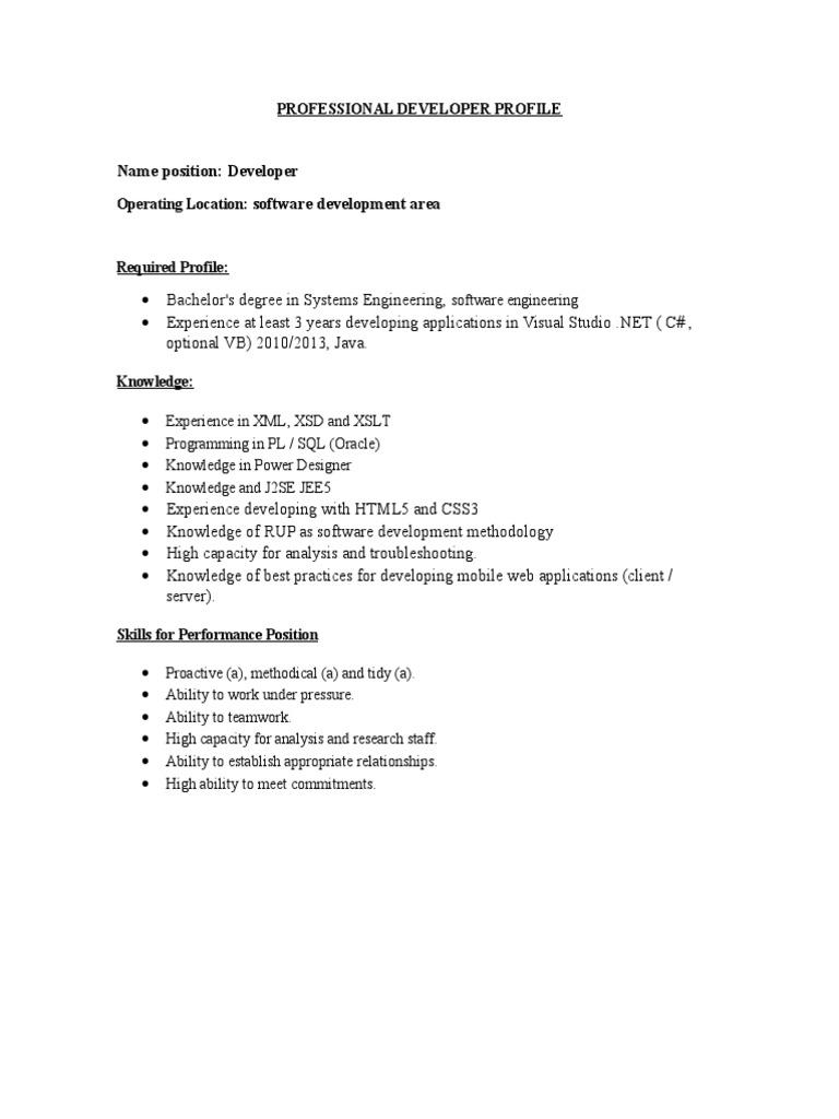 Professional Developer Profile | PDF