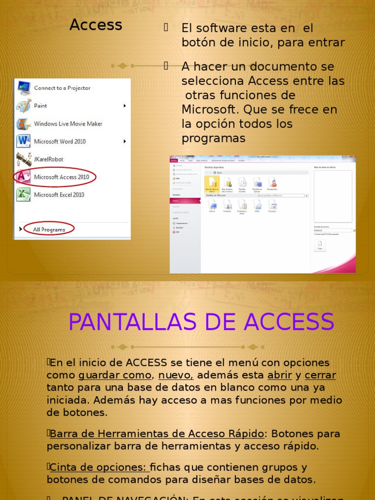 Guía Básica de Microsoft Access | PDF