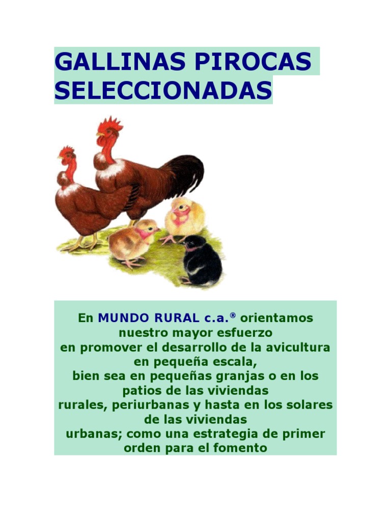 Gallinas Pirocas | Naturaleza | Agricultura