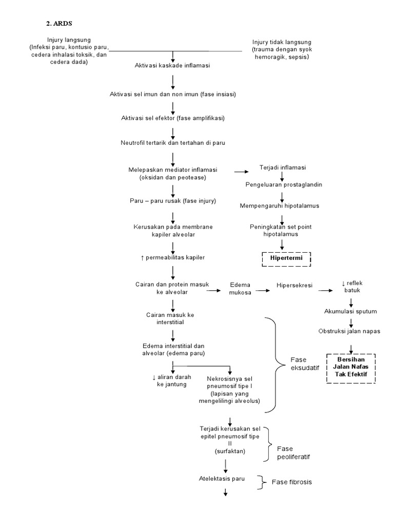 Pathway ARDS | PDF