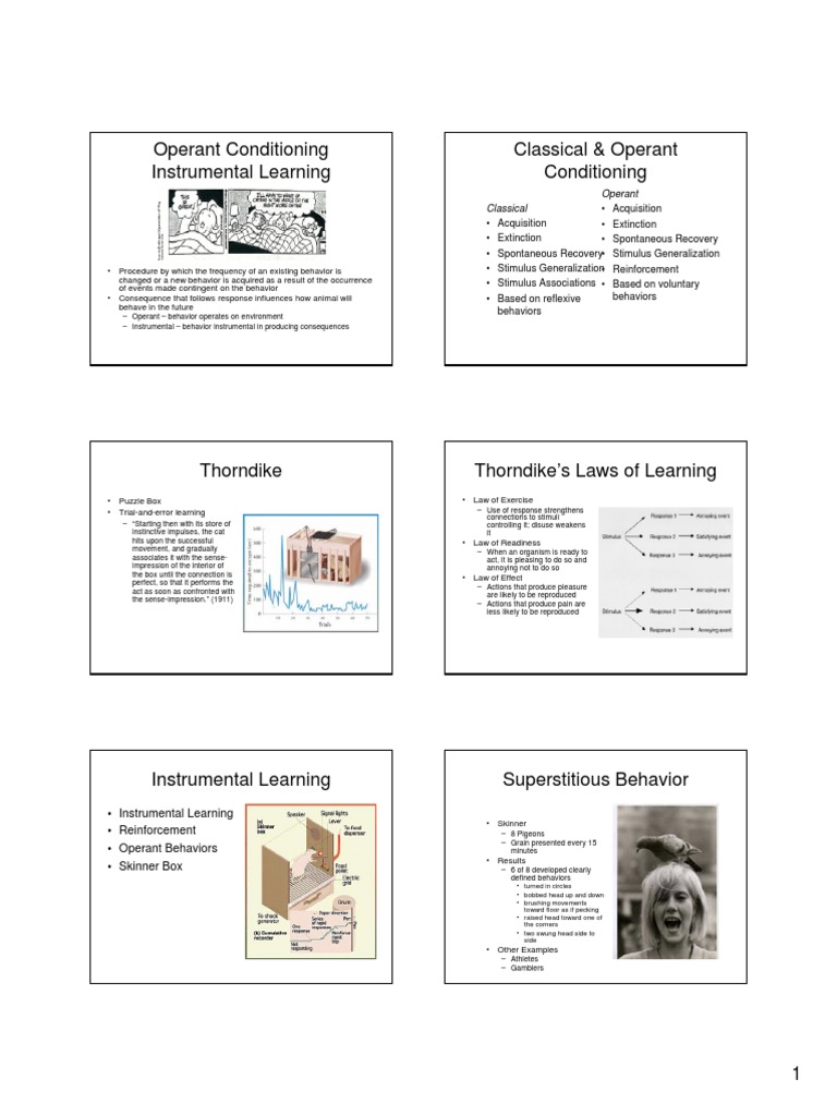 Operant Conditioning Instrumental Learning Classical & Operant ...