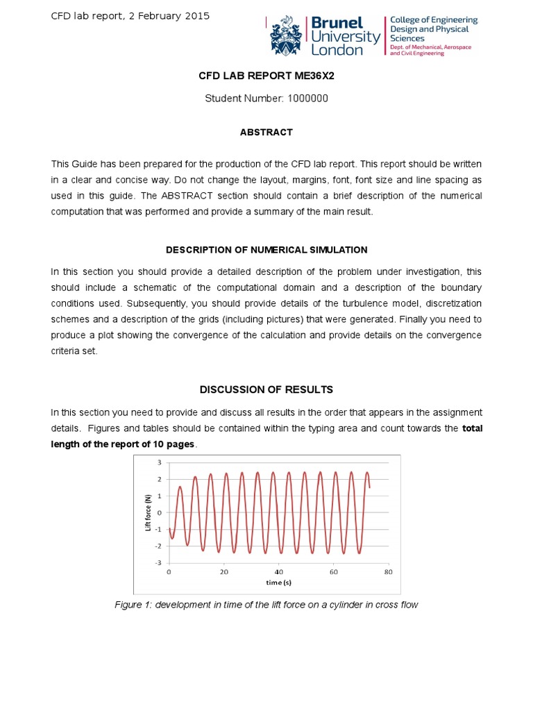CF D Lab Report Template | PDF | Computational Fluid Dynamics | Areas ...