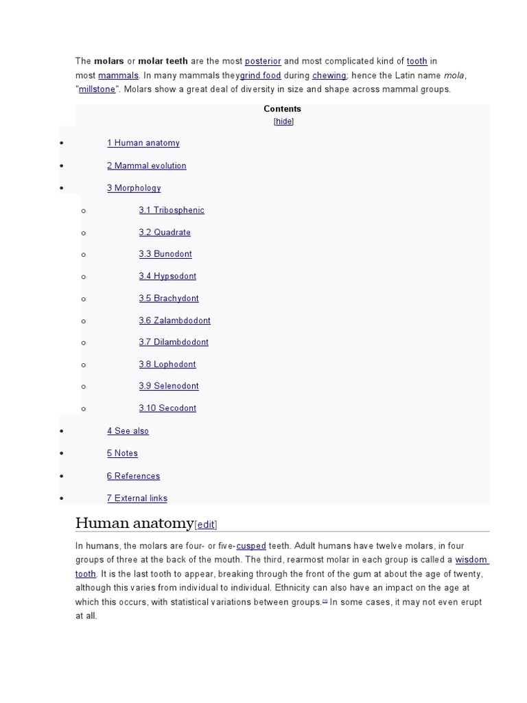 Molar | PDF | Dental Anatomy | Dentistry Branches